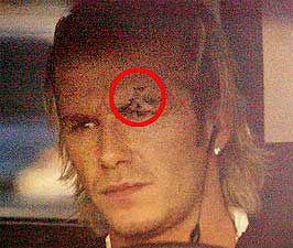 Cara Ferguson's Instagram, Twitter & Facebook on IDCrawl